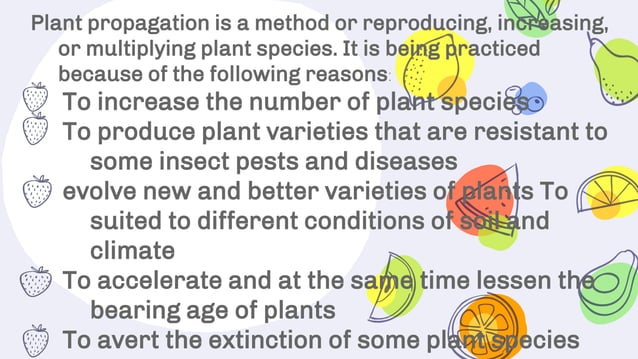 TLE 6 Agriculture lesson 6 (1).pptx