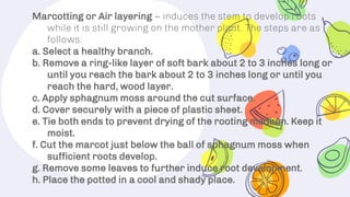 TLE 6 Agriculture lesson 6 (1).pptx