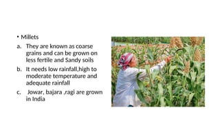 Agriculture Major Crops class 8 social science | PPTX