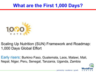 Fish in the First 1,000 Days | PPT