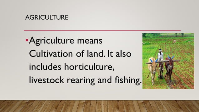 Agriculture of india | PDF | Agriculture | Industries