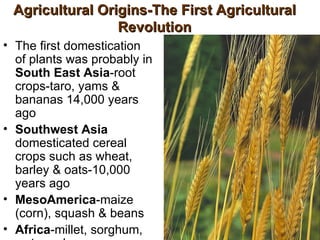 Agriculture part 1 | PPT