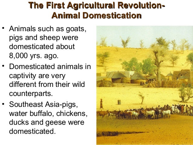 Maps Of Agricultural Domestication