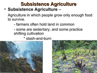 Agriculture part 3 | PPT
