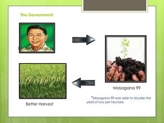 Agriculture ppt | PPTX
