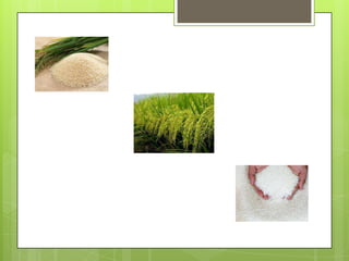 Agriculture ppt | PPTX