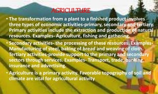 Agriculture ppt GEOGRAPHY CBSE | PPTX