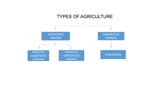 Agriculture PPT.pptx