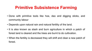 Agriculture PPT.pptx