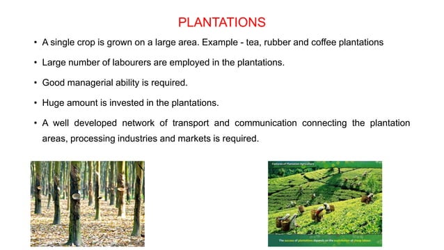 Agriculture PPT.pptx