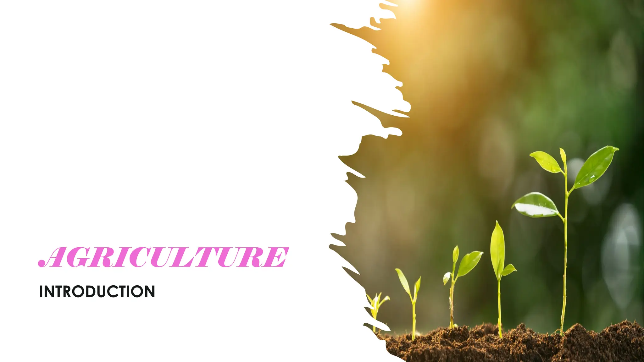 Agriculture ppt for secondary class students | PPTX