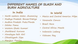 Agriculture ppt Priyansha Agarwal 10 D.pptx