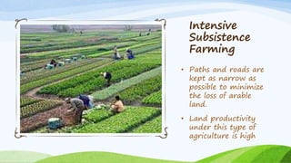 Agriculture ppt Priyansha Agarwal 10 D.pptx