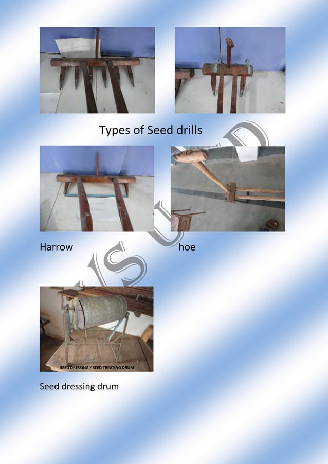 Agriculture practical exam For B,Sc farm sciences | PDF | Agriculture ...