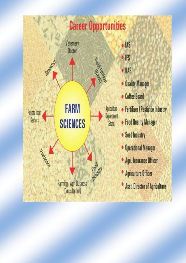 Agriculture practical exam For B,Sc farm sciences | PDF | Agriculture ...