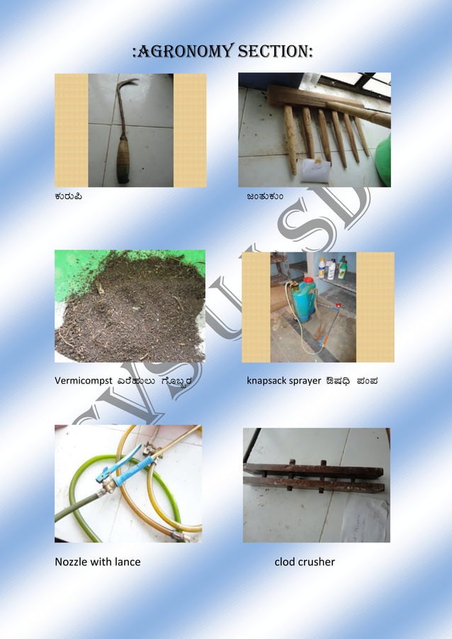 Agriculture practical exam For B,Sc farm sciences | PDF | Agriculture ...