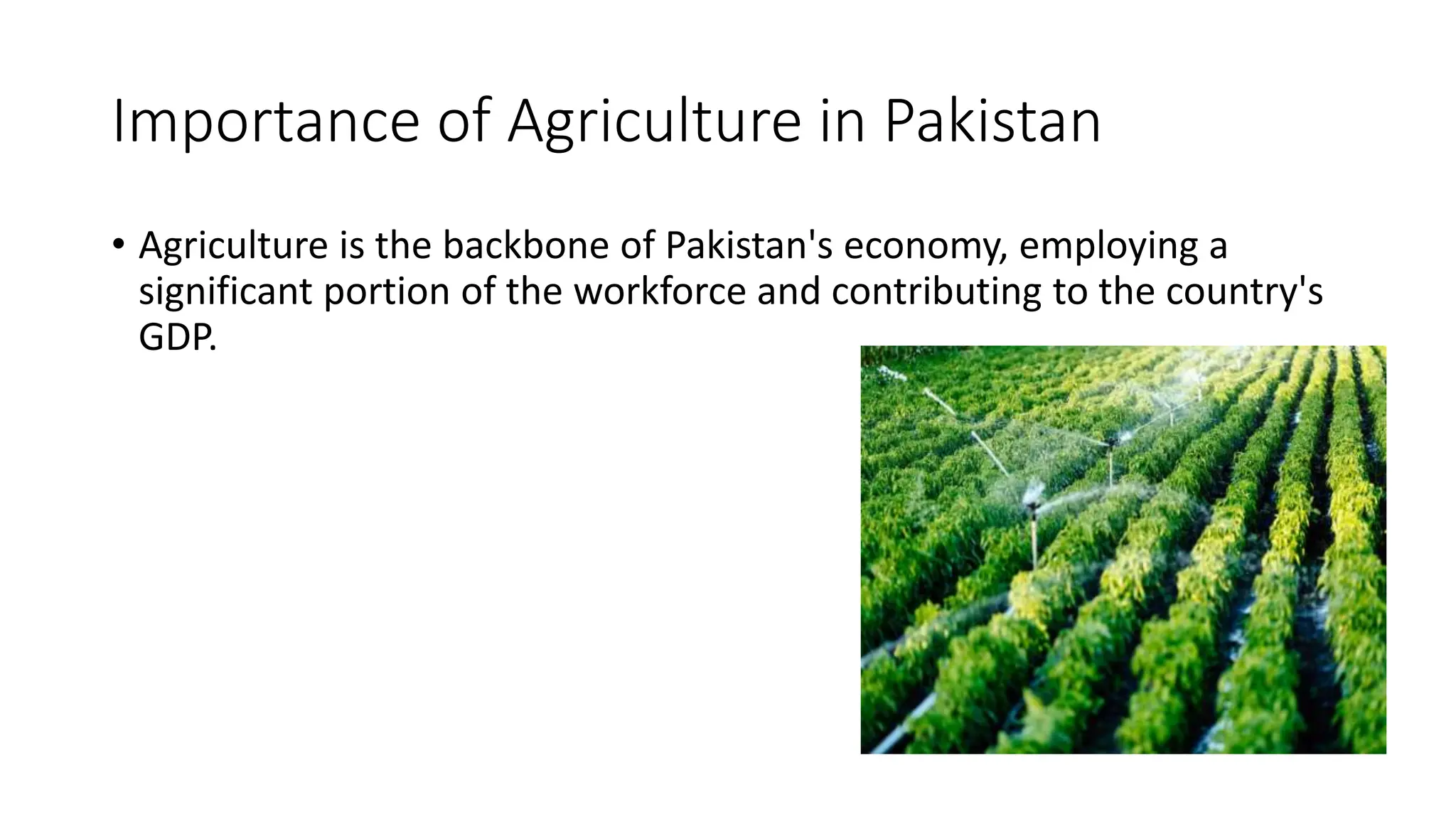 Agriculture Practices in Pakistan .pptx