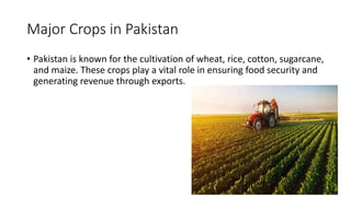 Agriculture Practices in Pakistan .pptx