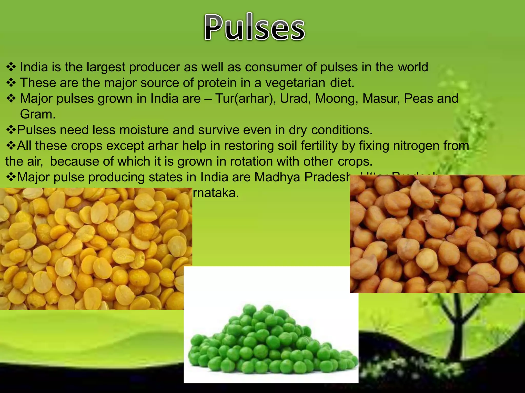 Agriculture presentation class 10 | PPTX