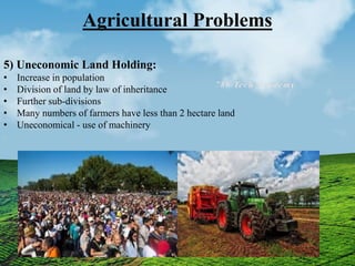 Agriculture problems and thier solutions | PDF