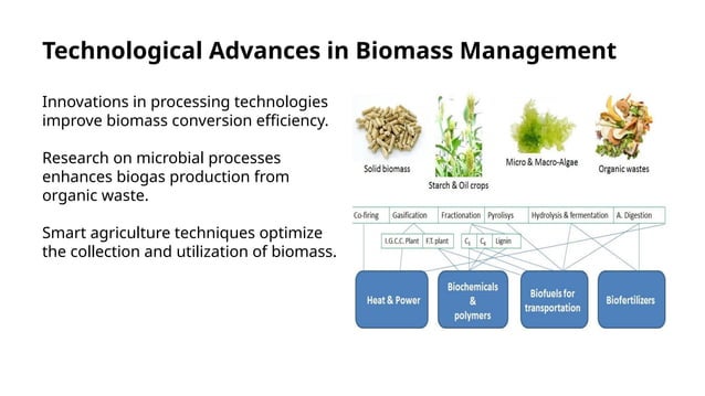 Agriculture Produce And Waste Biomass.pptx