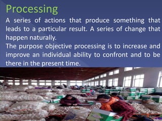 Agriculture produce marketing | PPTX