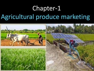 Agriculture produce marketing | PPTX