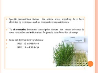 AGRICULTURE PRODUCTION AND SUSTAINABILITY THROUGH BIOTIC AND ABIOTIC STRESS MANAGEMENT PRACTICES ...