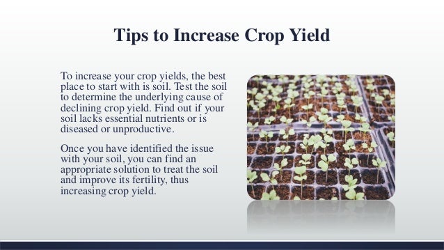 Agriculture Productivity Tips How To Increase Your Crop Yield