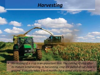 Farming Methods | PPTX
