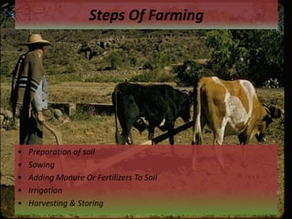 Farming Methods | PPTX