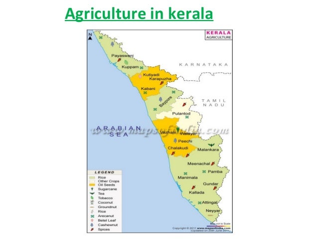 Agriculture regions in kerala