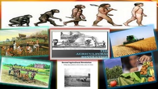 Agriculture revolution | PPTX