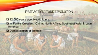 Agriculture revolution | PPTX