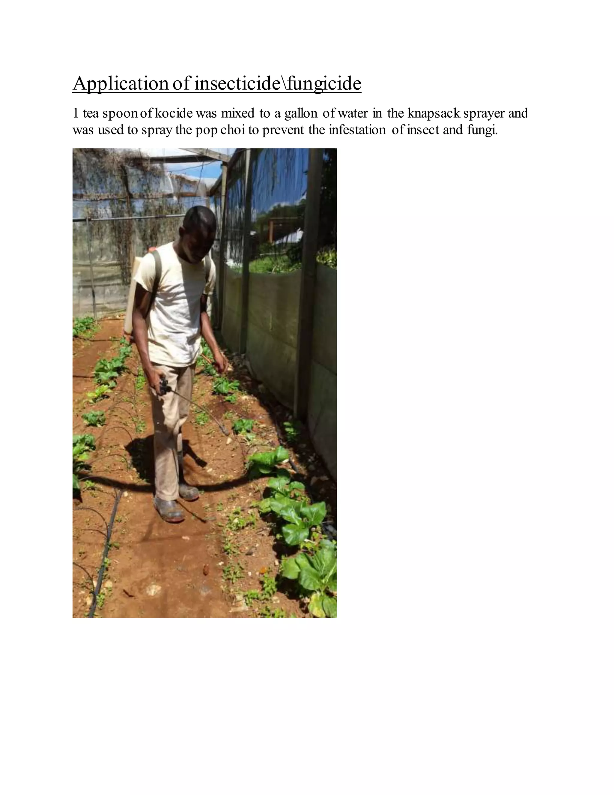 Agriculture sba | DOCX