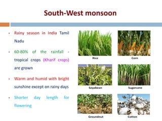 Agriculture seasons in India & crops sowing | PDF