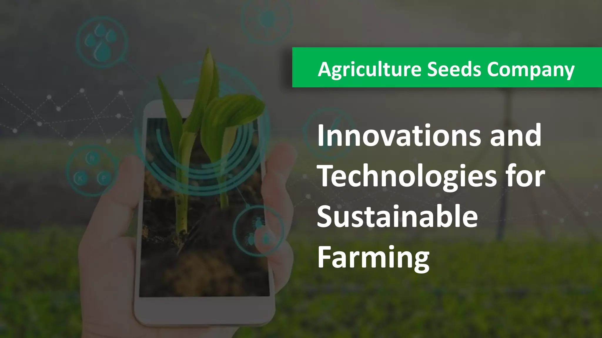 Agriculture Seeds Company: Innovations and Technologies for Sustainable ...
