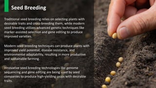 Agriculture Seeds Company: Innovations and Technologies for Sustainable ...