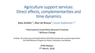 Agriculture support services direct effects, complementarities and time ...