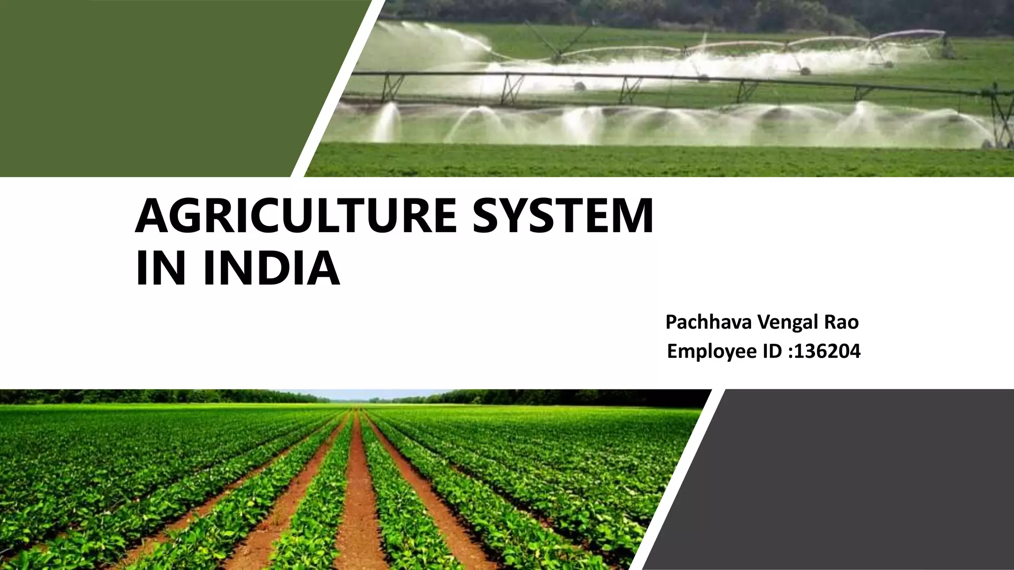 Agriculture System/Sector in INDIA | PPTX