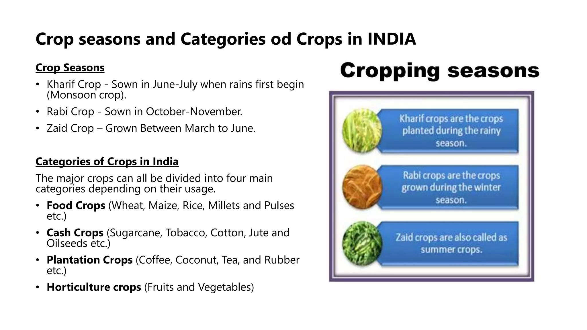 Agriculture System/Sector in INDIA | PPTX