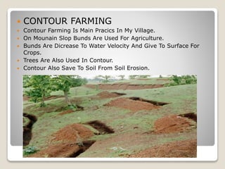 good agriculture practices | PPTX