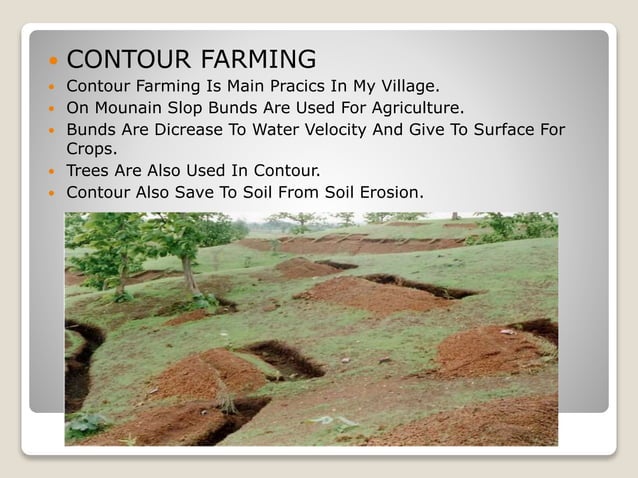 good agriculture practices | PPT