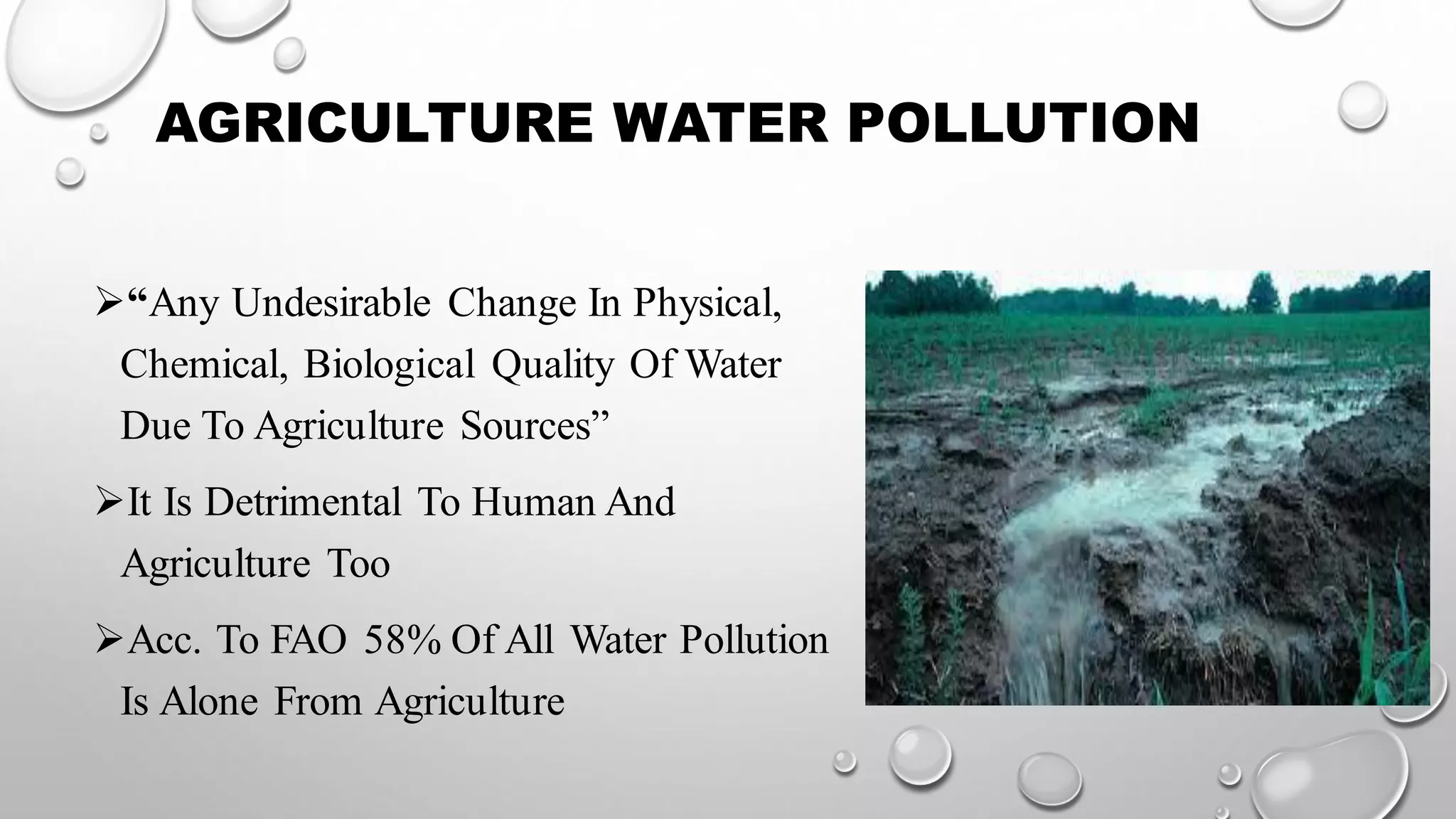 Water Pollution Caused By Agriculture