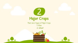 Agriculture x a cropping pattern and major crops (rice and wheat) | PPTX