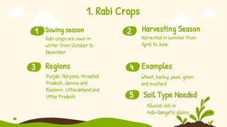 Agriculture x a cropping pattern and major crops (rice and wheat) | PPTX