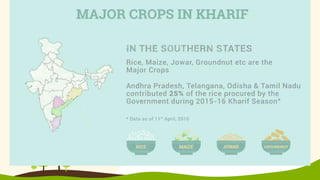 Agriculture x a cropping pattern and major crops (rice and wheat) | PPTX
