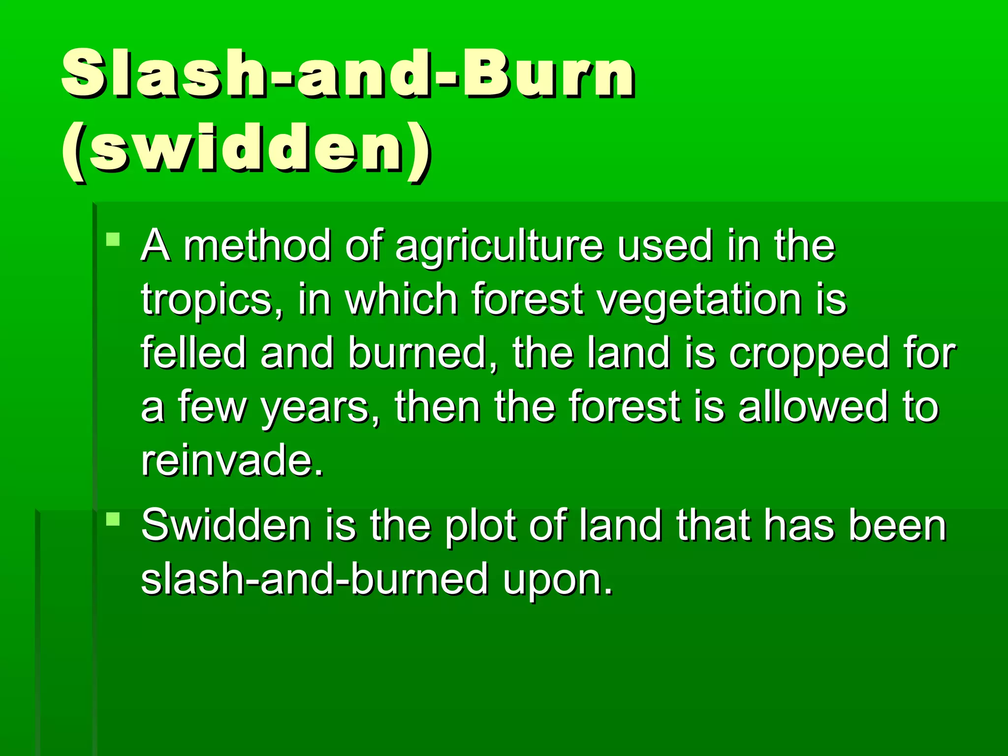 Agriculuture vocabulary | PPT
