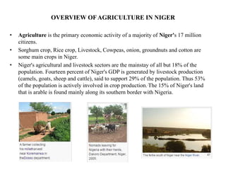 Agricuture industry of niger gcsr | PPT