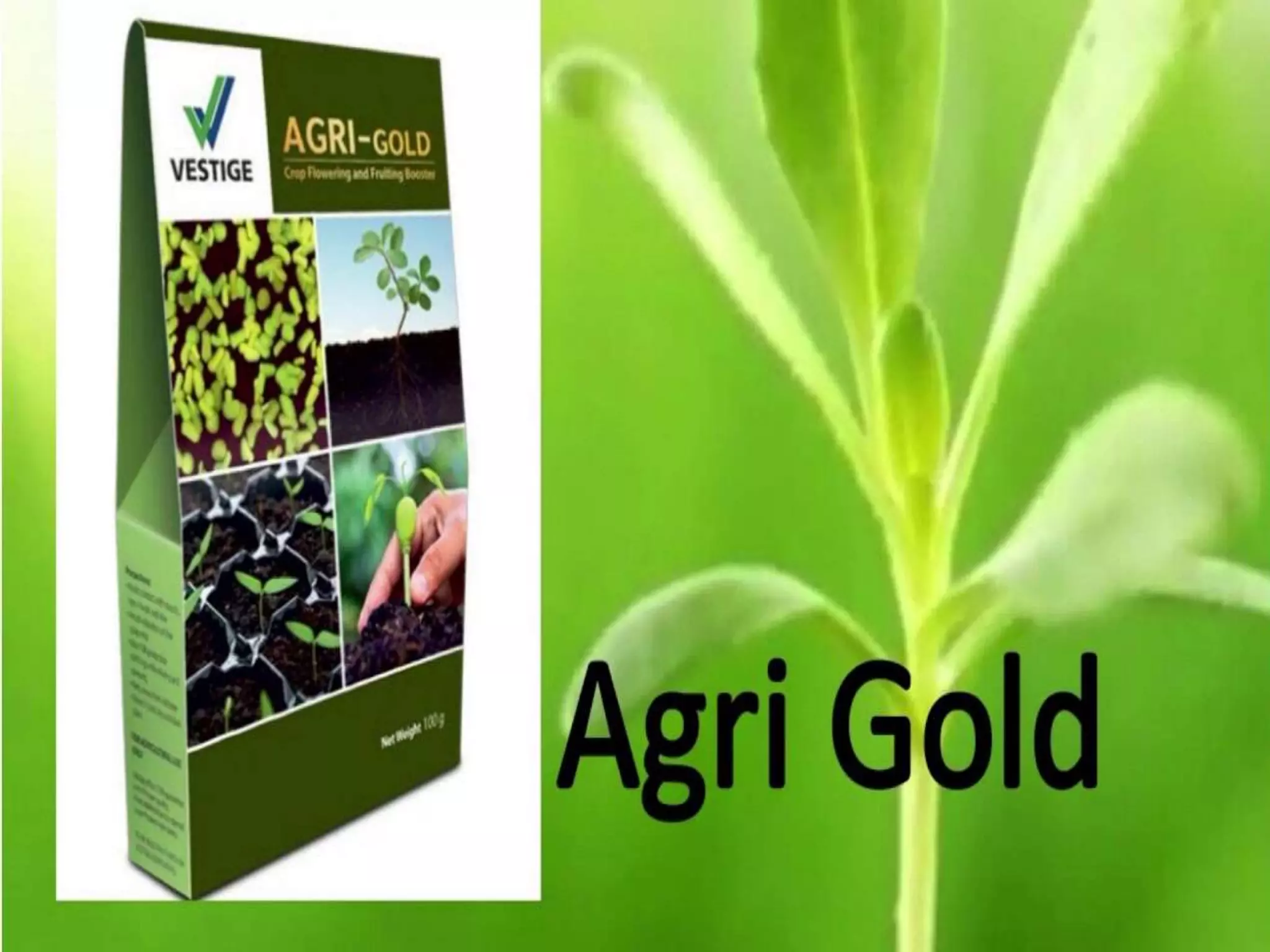 Agri gold | PPTX